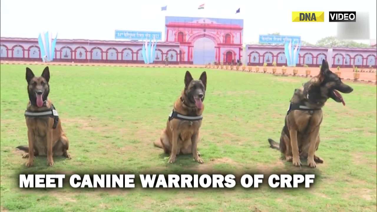 CRPF’s elite K9 dog unit being trained to combat anti-terror operations