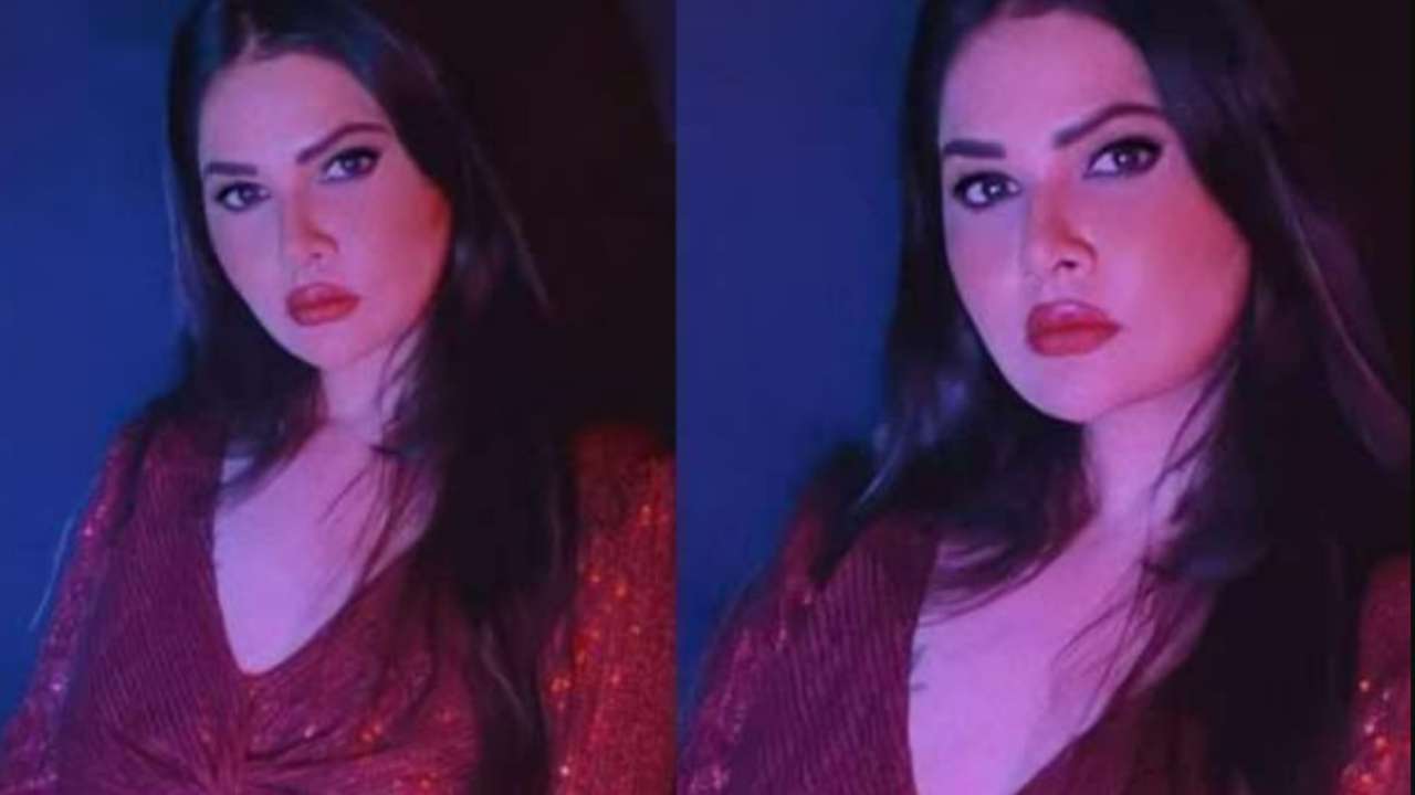 Gandii Baat Mastram Actress Aabha Paul Raises The Temperature In Hot Outfits Videos Go Viral
