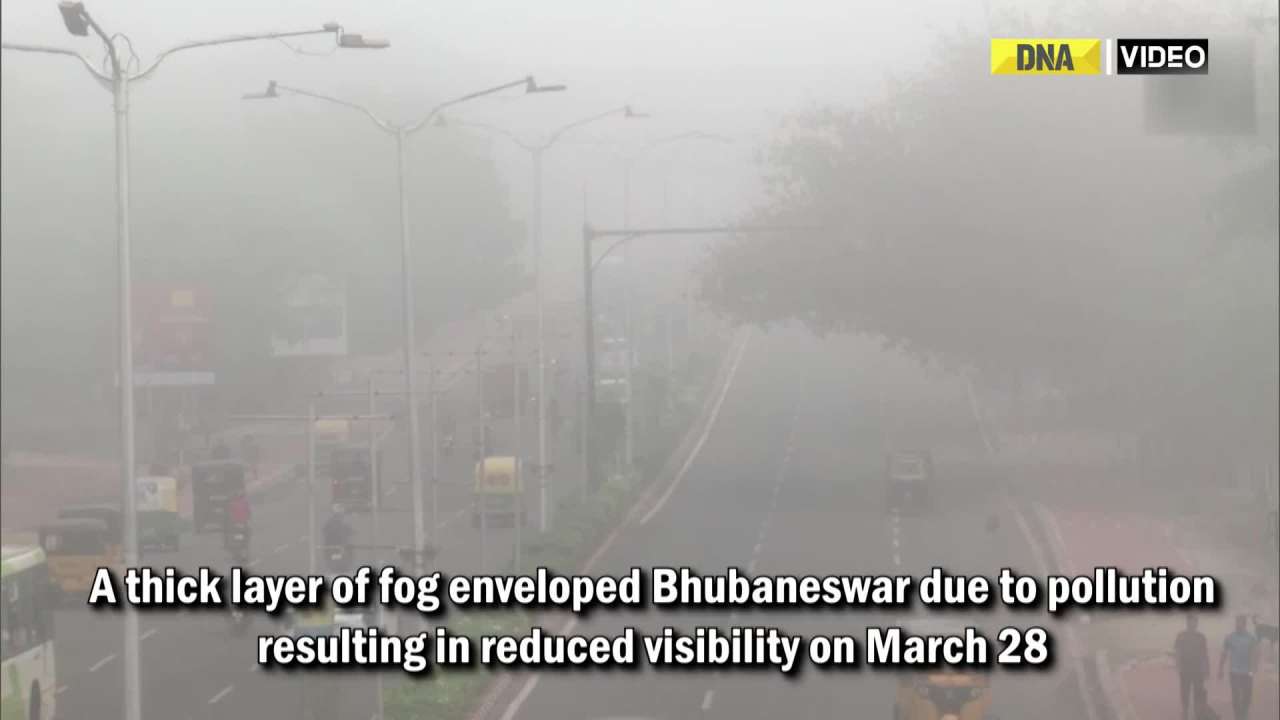 Dense fog envelopes parts of Bhubaneswar Dense fog envelopes parts of Bhubaneswar