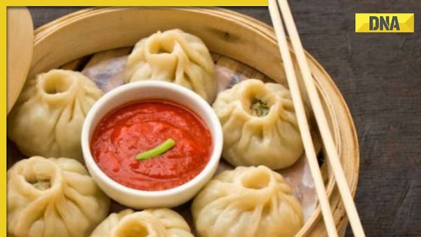 How momos travelled to India? History, origin