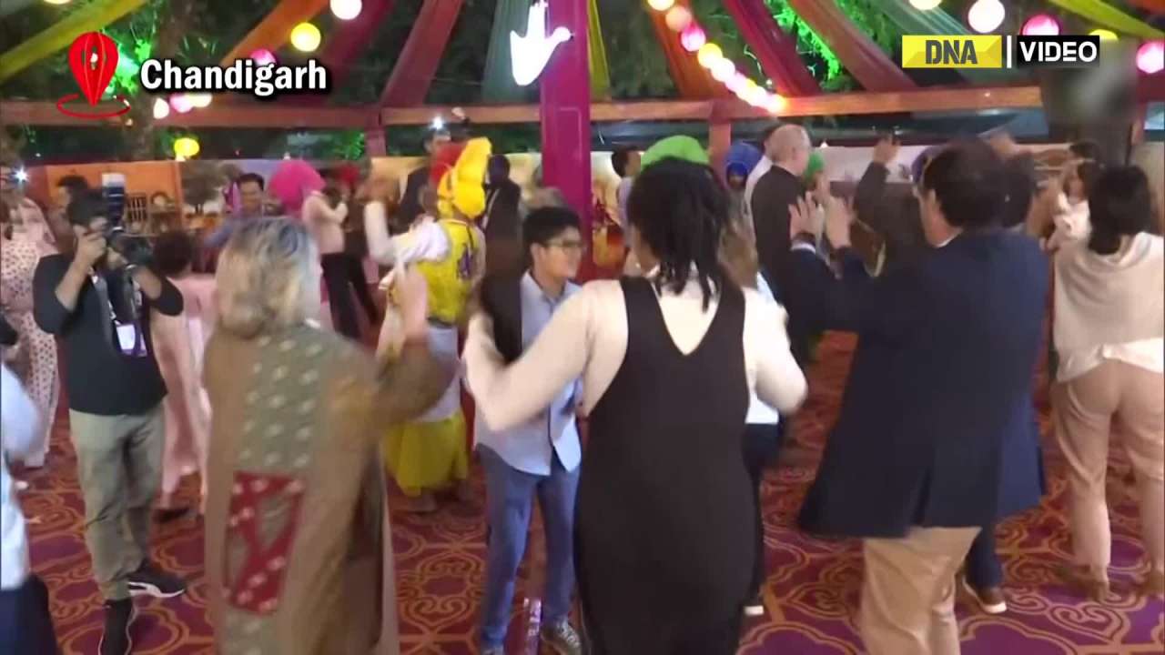 Watch: G20 delegates dance to the tunes of 'Naatu Naatu' from RRR movie