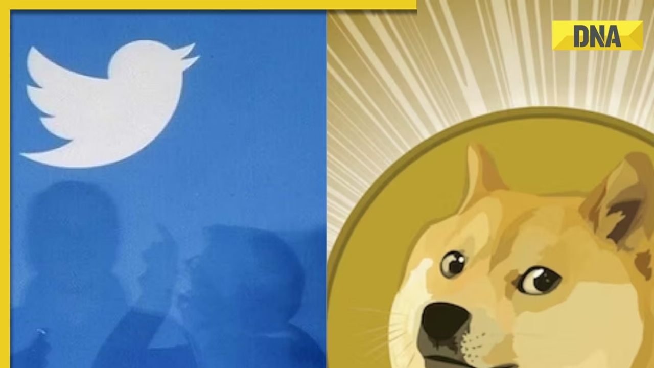 Elon Musk changes Twitter’s bluebird to ‘Doge’ icon, netizens begin ...