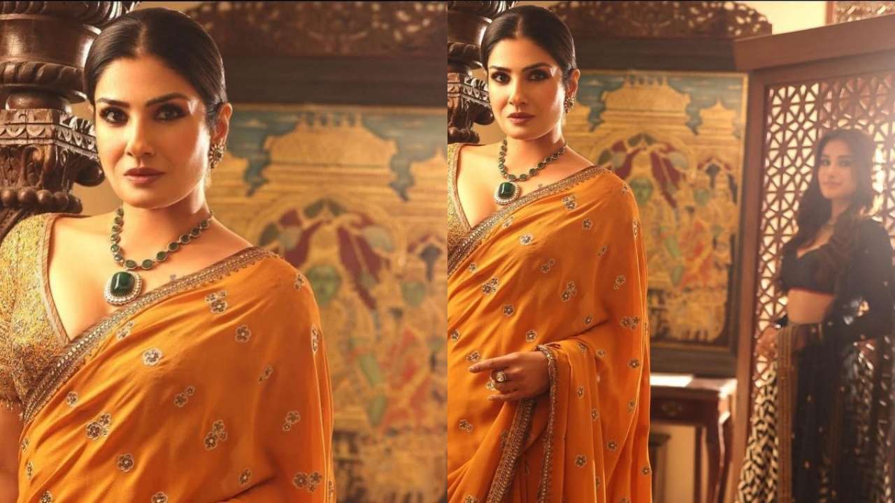 Raveena Tandon gives royal vibes in new pics with Rasha Thadani ...
