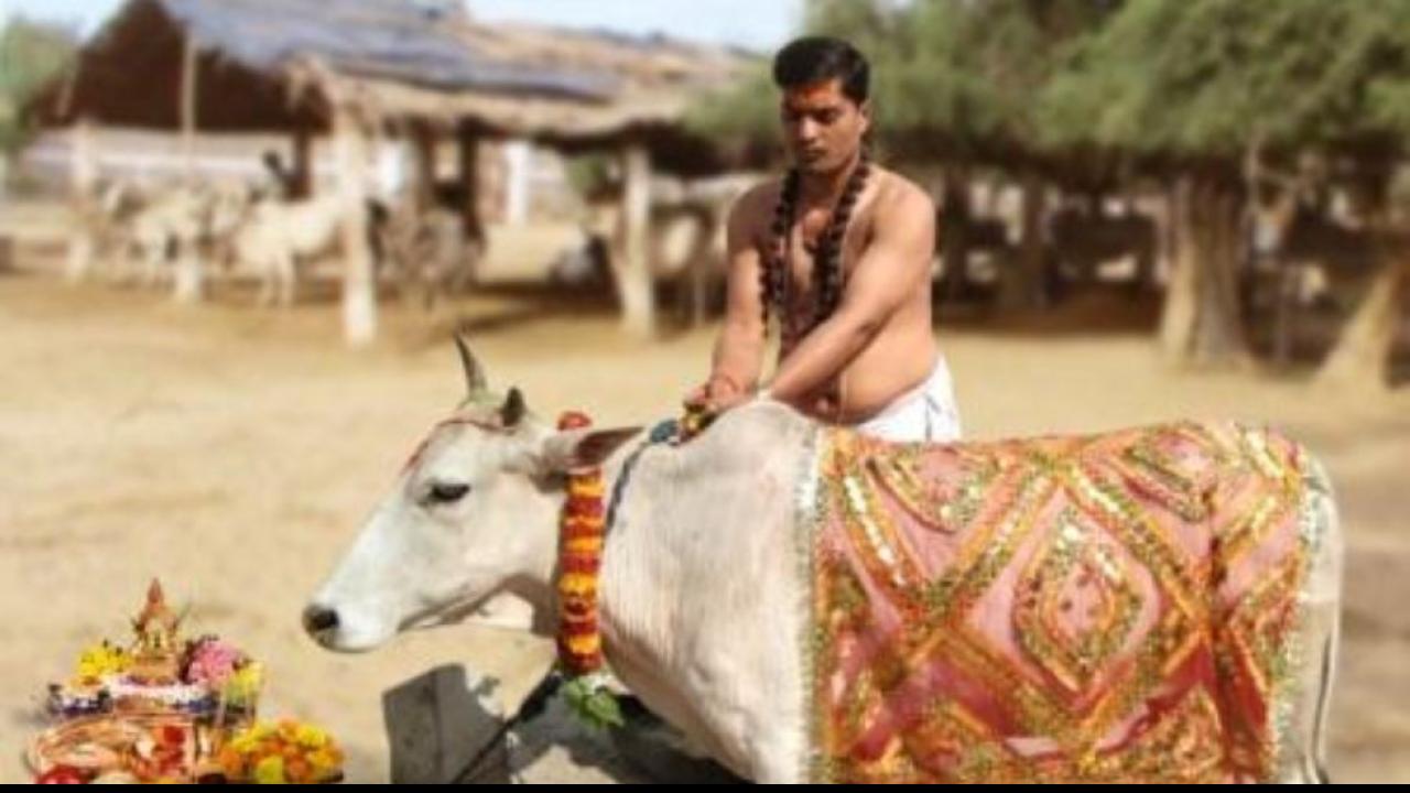 Daan Significance: जीवनकाल में इन 5 चीजों का दान जरूर करें, हिंदू धर्म में सबसे मूल्यवान हैं ये ...