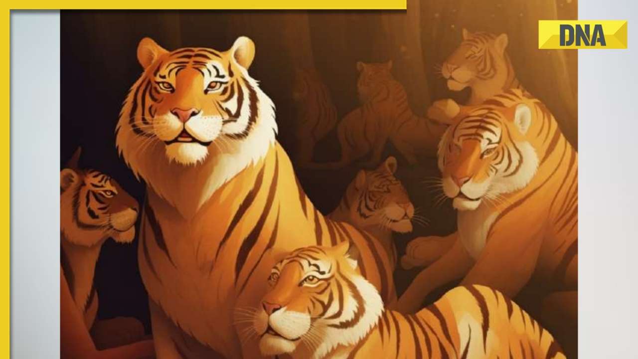 Optical illusion: How many tigers can you spot in THIS image?