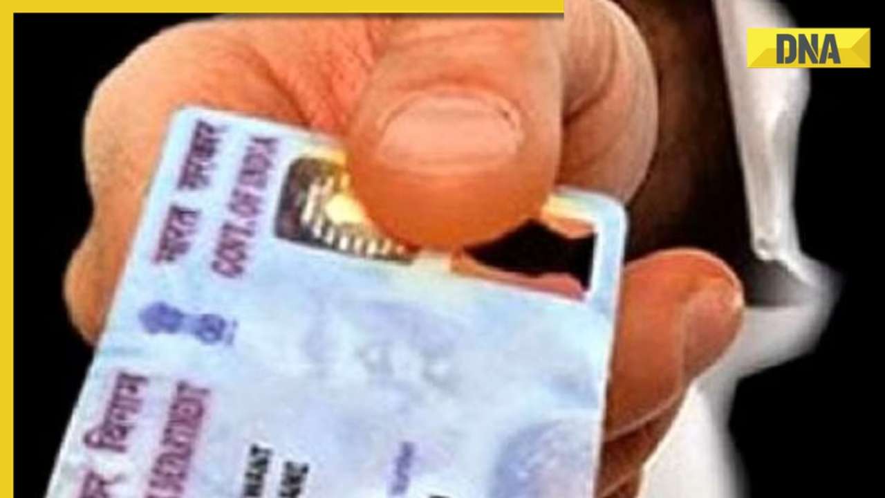 PAN Card news: Do you have 2 PAN Cards? Here's what you can do, check ...