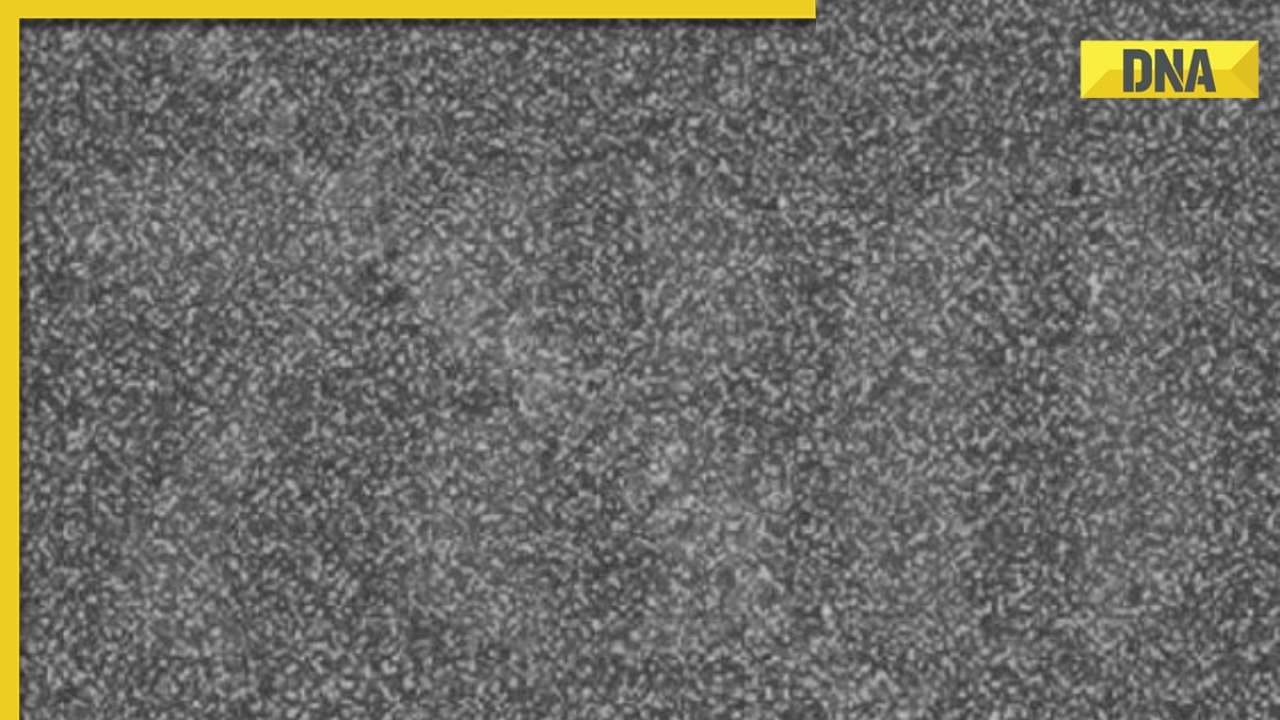 Optical illusion: Help us to spot hidden number in THIS pic