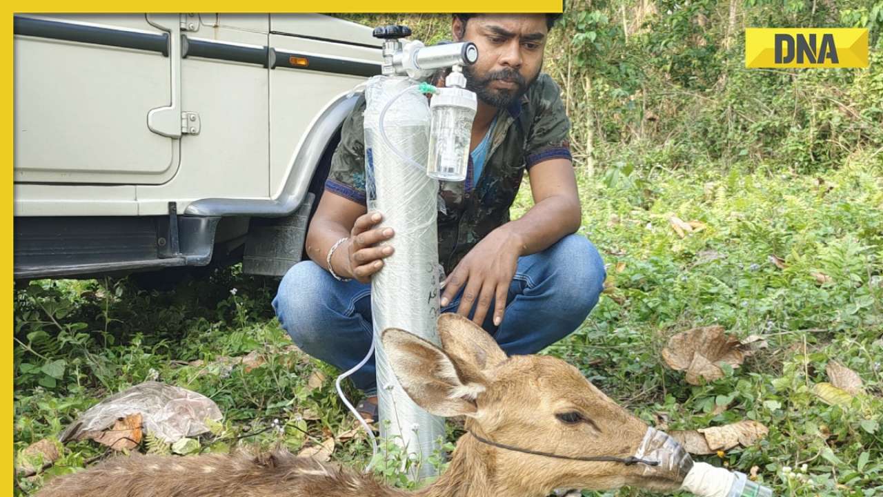Man provides medical care to deer, heart touching viral pic wins internet