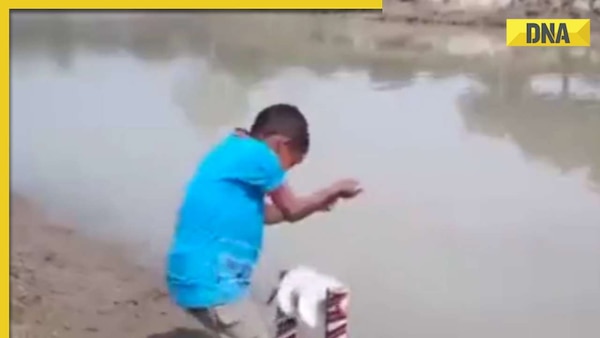 This little boy's fish catching technique has impressed the internet ...
