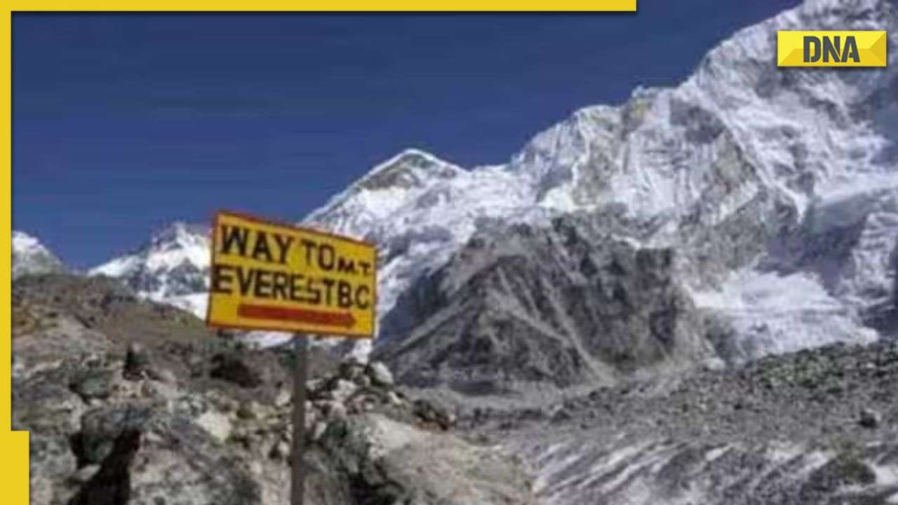 Meet Arishka Laddha, 6-year-old who scaled Mount Everest Base Camp ...