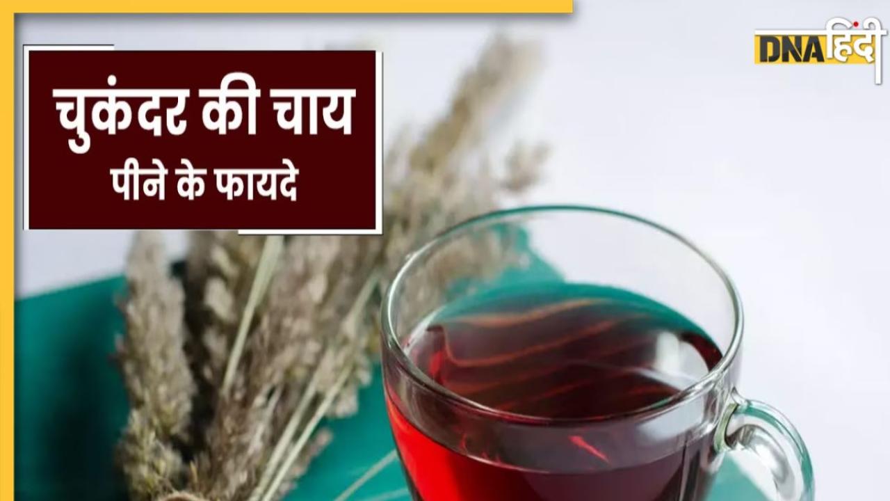 Beetroot Red Velvet Tea Benefits Latest News and Updates in Hindi ...