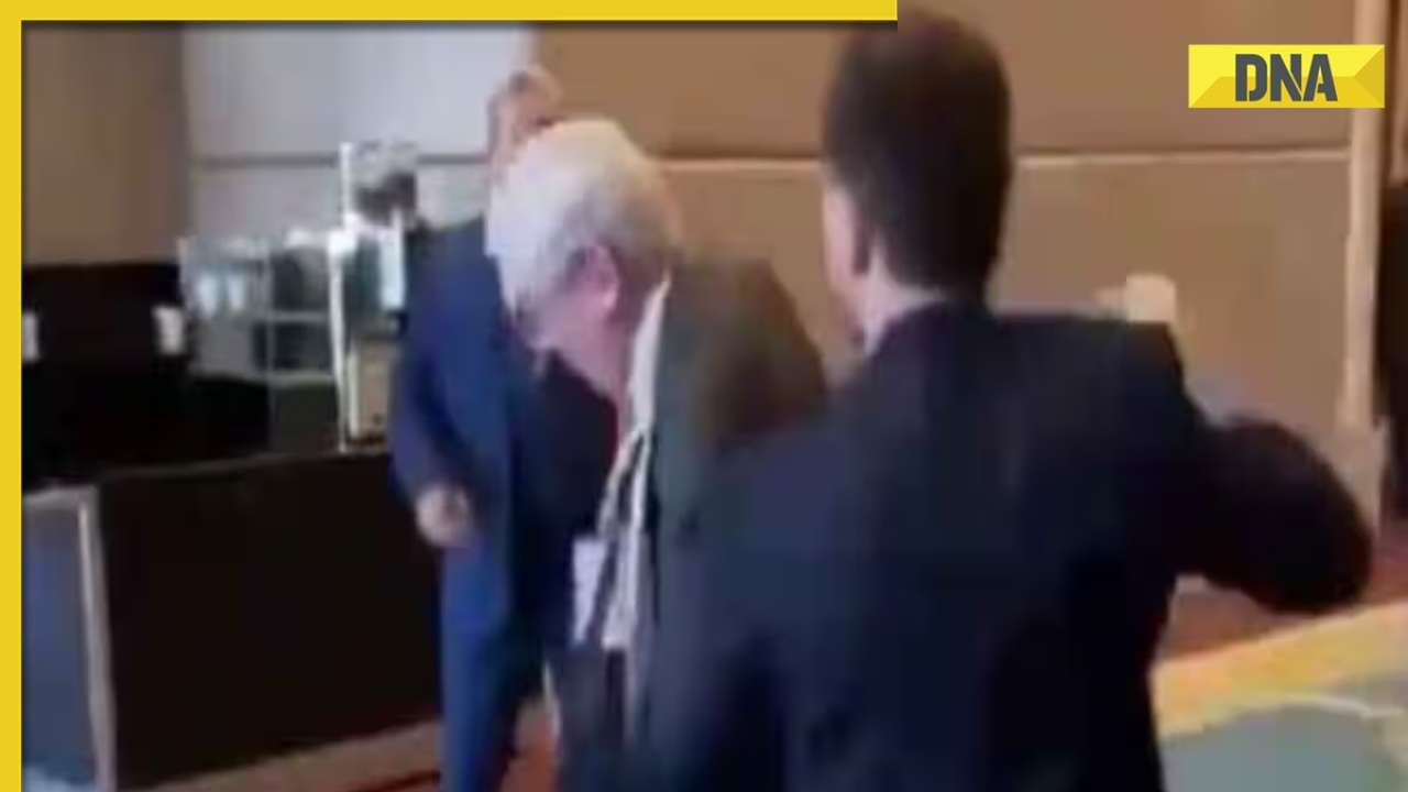 Ukrainian MP punches Russian official in face at Turkey summit, viral ...