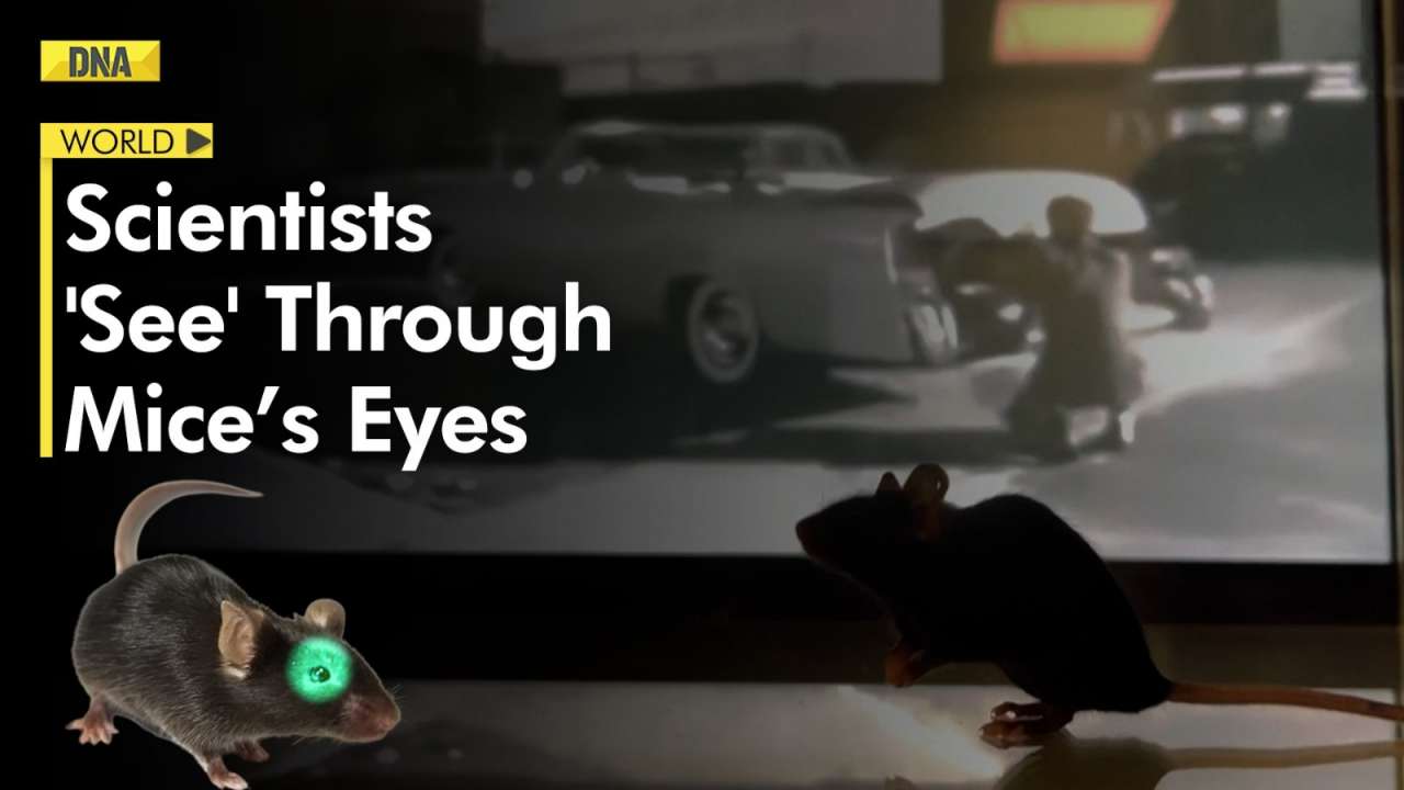 Scientists uses AI for decoding brain signals to see through the eyes ...