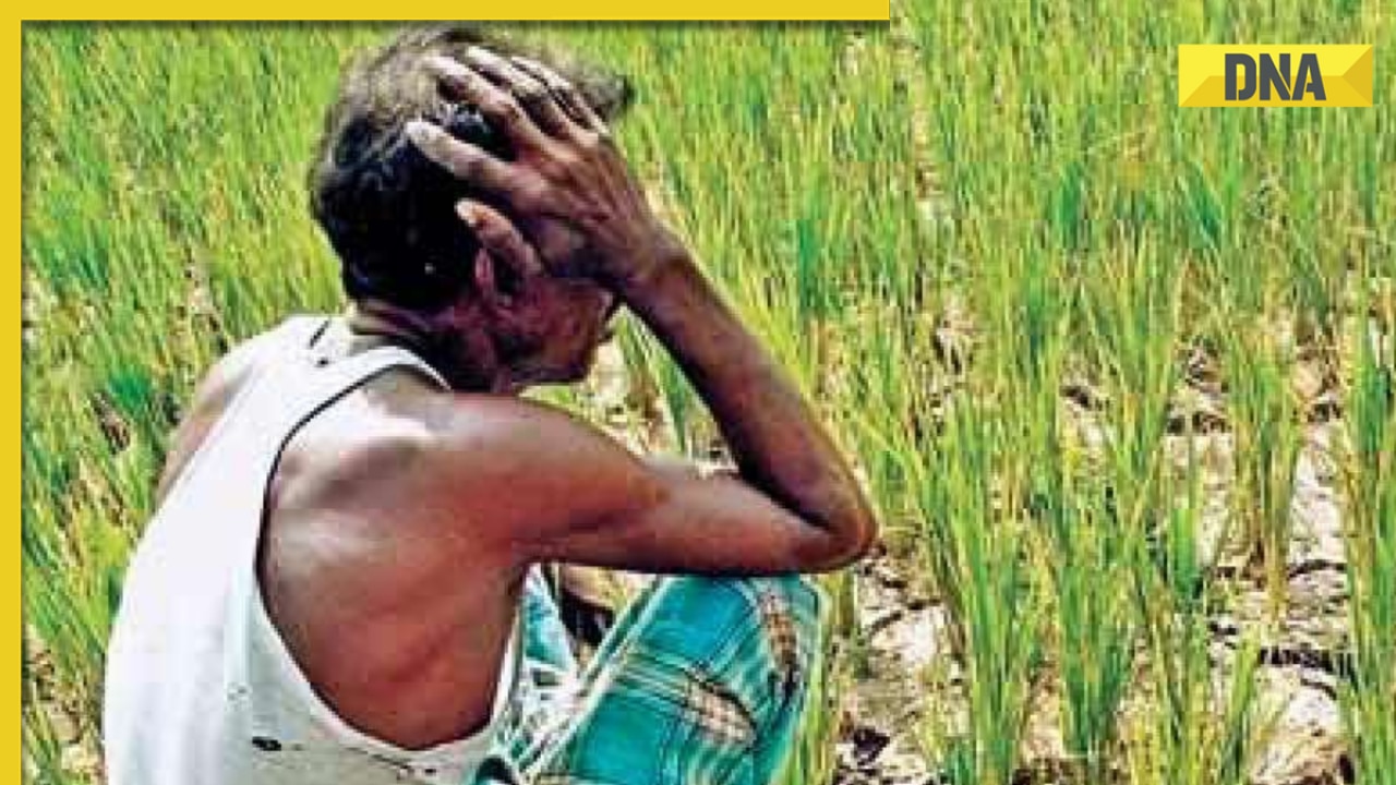 PM Samman Nidhi Yojana: Know eligibility and how to surrender for PM ...