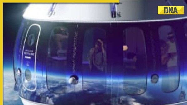 Unique aircraft to let couple get married in space; here's how