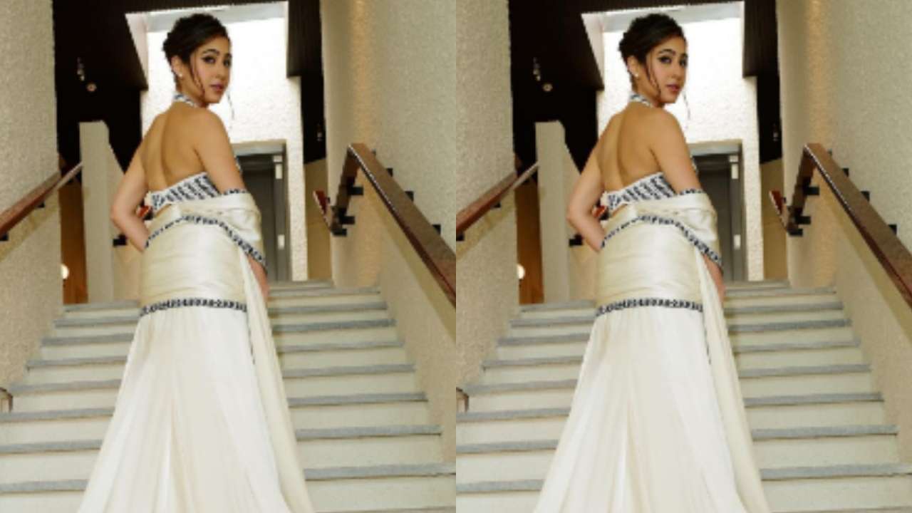Sara Ali Khan is 'feeling like a zebra' as she poses in white saree ...