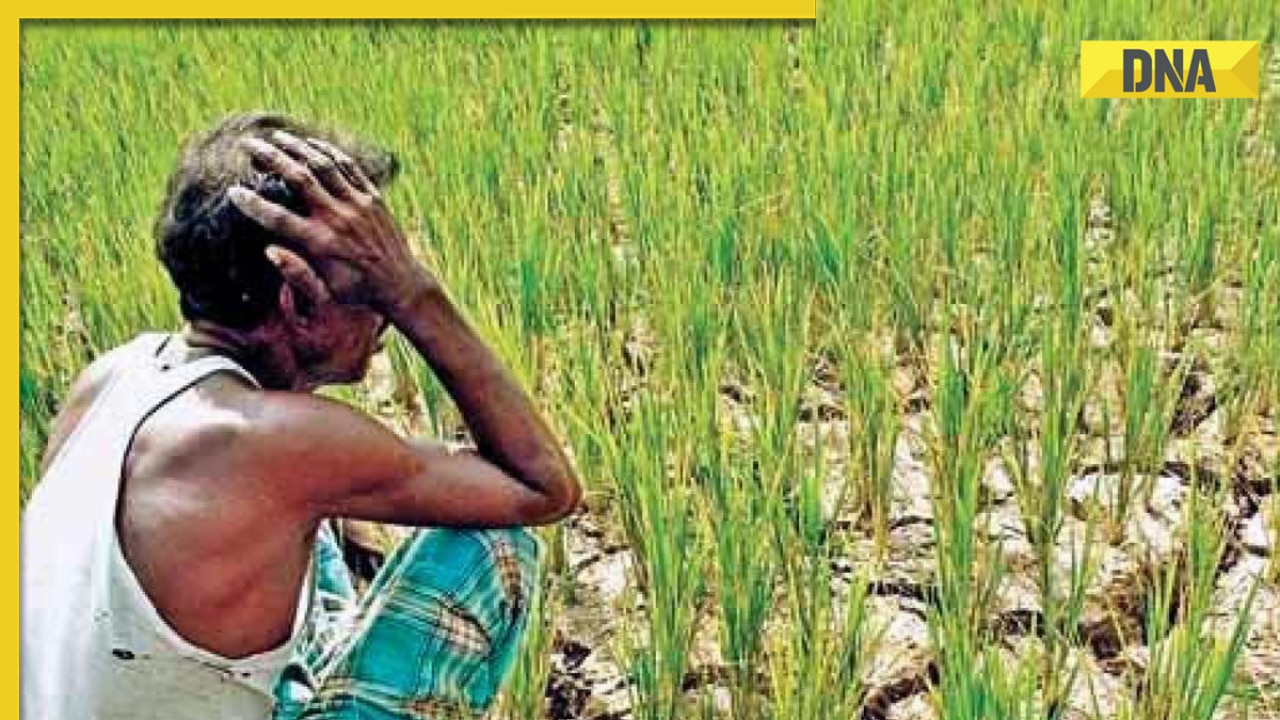 PM Kisan Yojana: Can both husband and wife take Rs 6,000 instalment ...