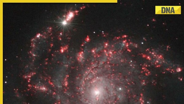 Supernova! Rare cosmic event of star exploding and disappearing ...