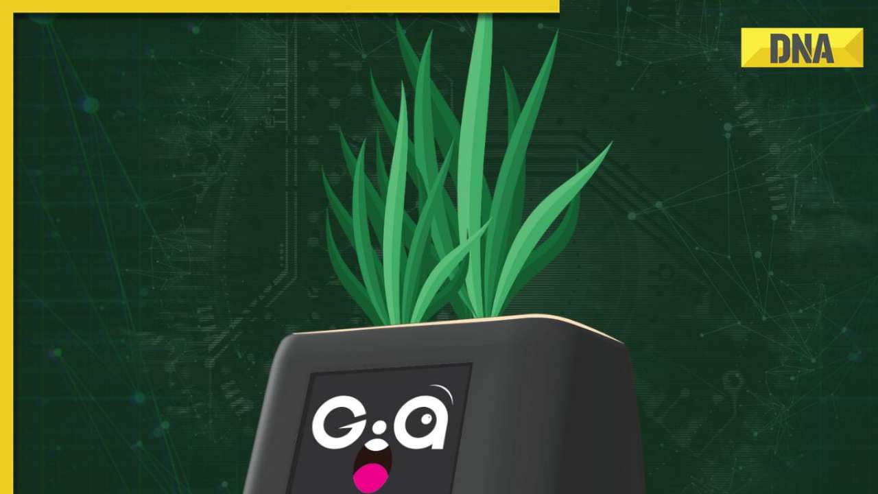 Noida based CEO creates smart pot that can interact with you, here’s ...