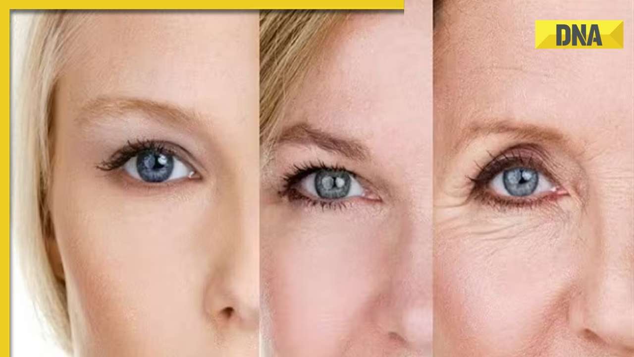 Study reveals type of protein which plays important role in skin ageing