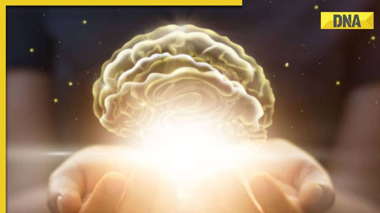 Brain health: Effective ways to keep your mind sharp and active