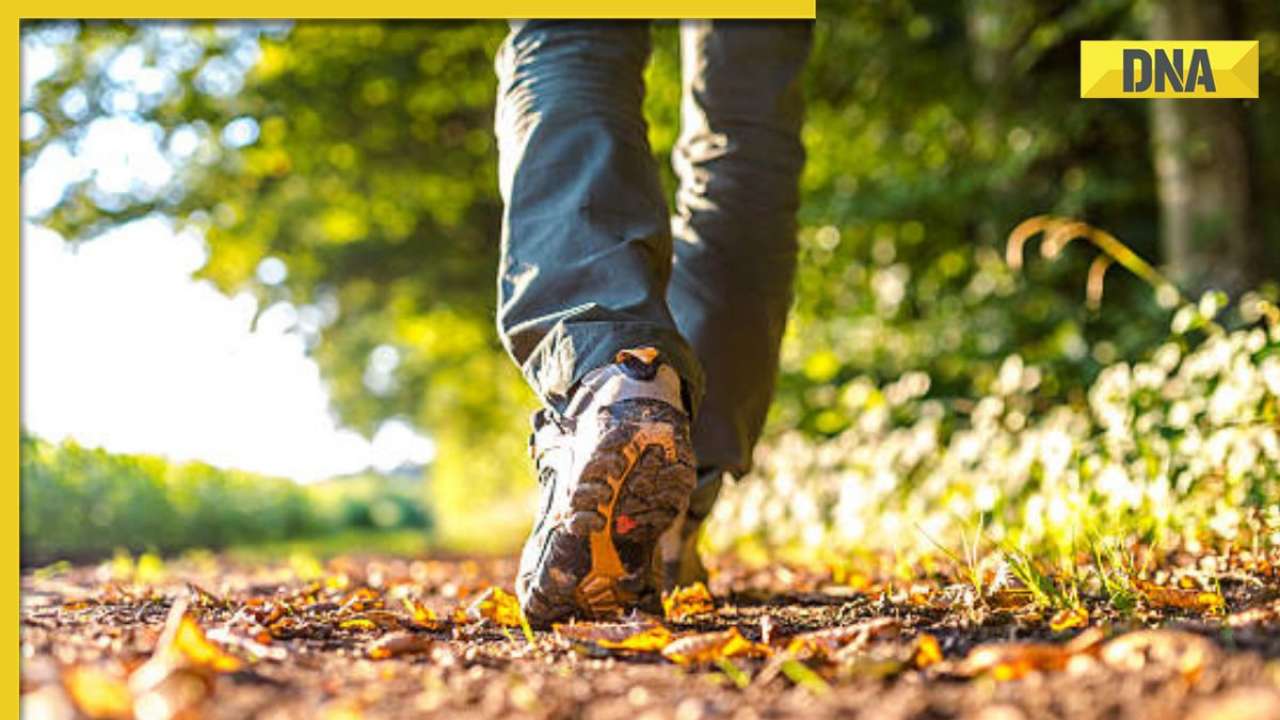 Why is it important to take a walk after eating food? Know here