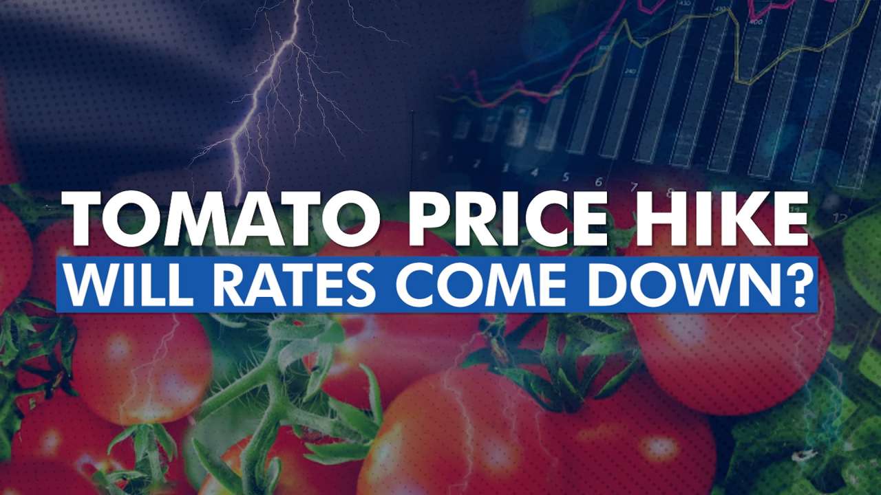 Tomato price hike: What is 'Greedflation'? Will rates come down soon ...