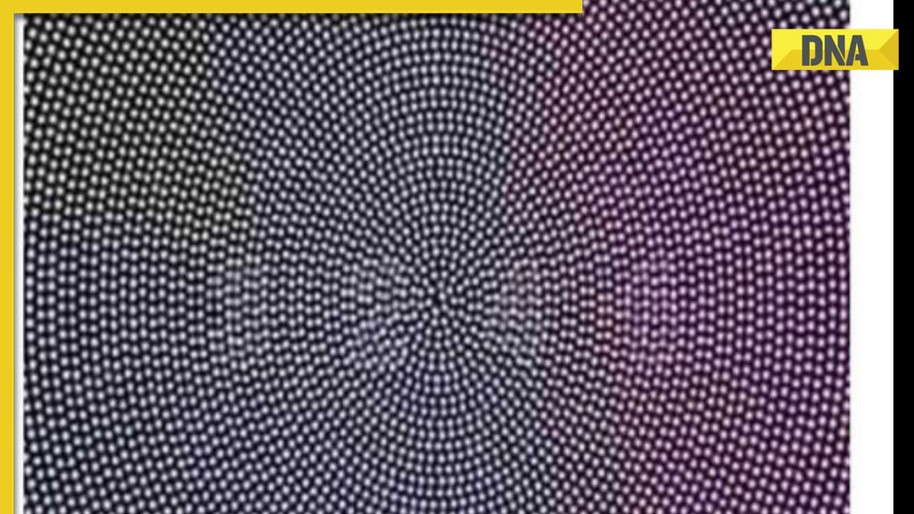 Optical Illusions Numbers