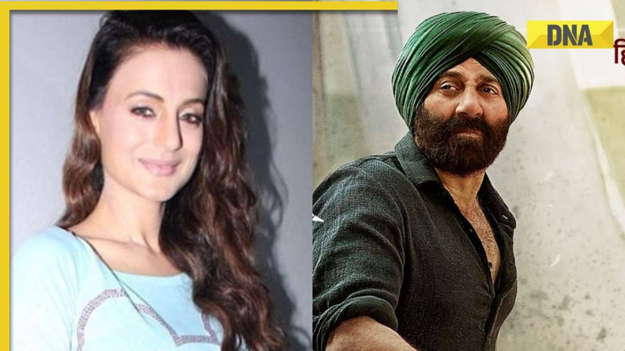 ameesha patel news News: Read Latest News and Live Updates on ameesha ...