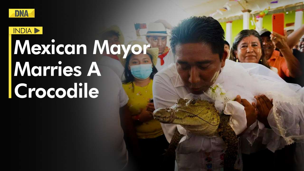 Watch Viral Video: Mexico Mayor 'Marries' Crocodile To Honour Age-Old ...