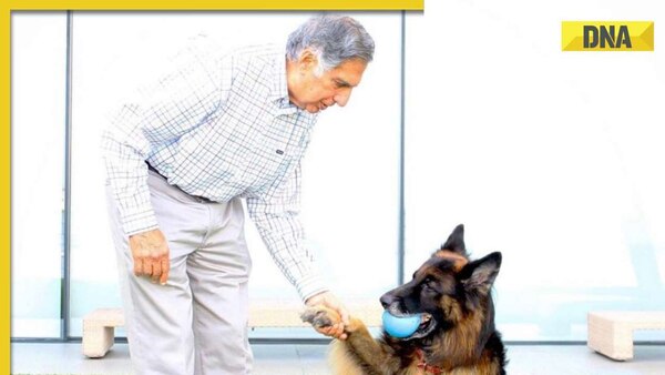 Ratan Tata shares heartwarming tweet about stray animals, reflects his ...