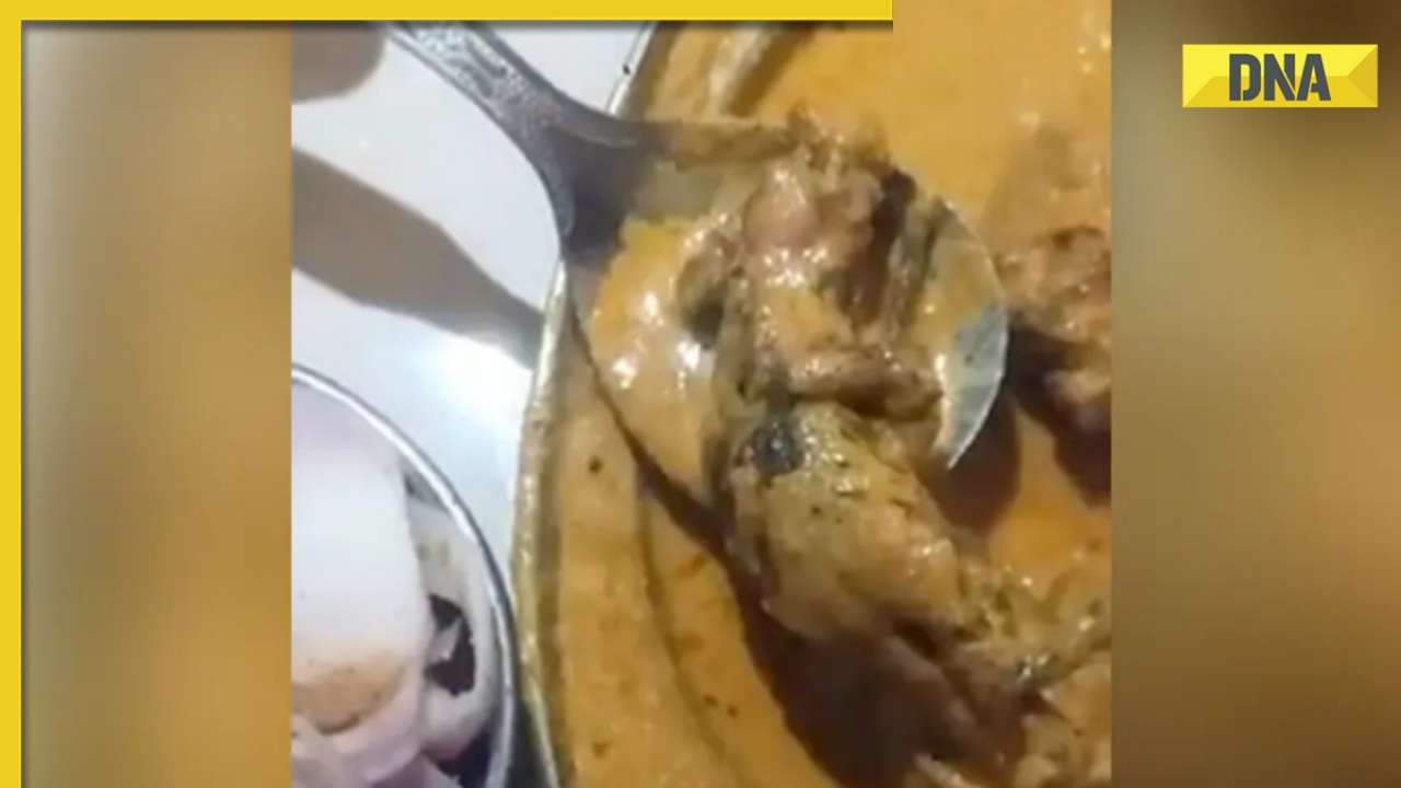 Ludhiana eatery owner booked as 'dead rat' surfaces in non-vegetarian ...