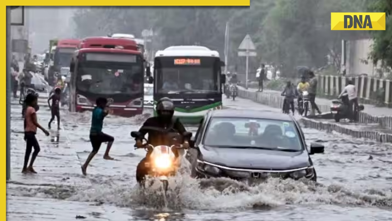 Watch | 10 videos of destruction in several cities due to heavy rainfall