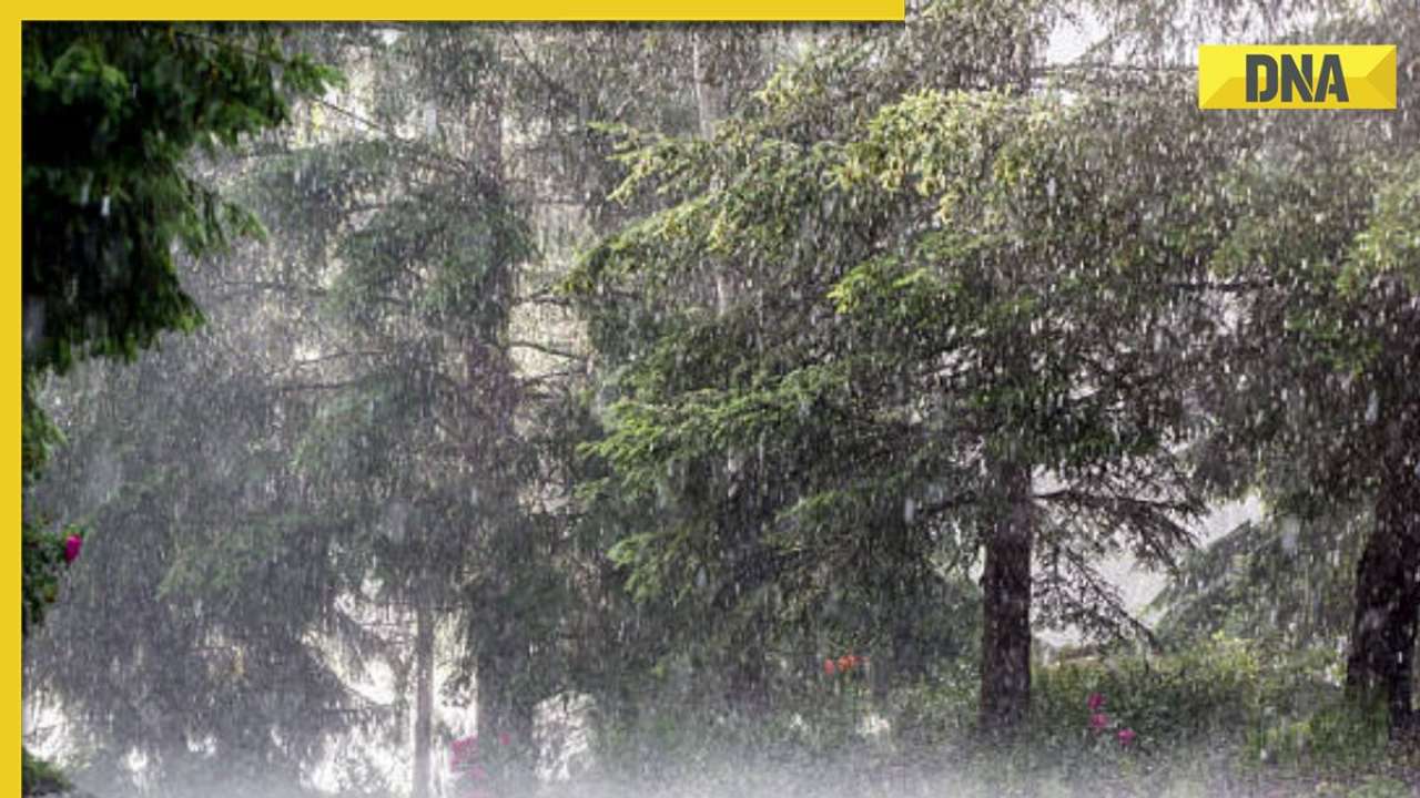 IMD weather update: Heavy rainfall forecast in UP, Himachal, Goa and ...