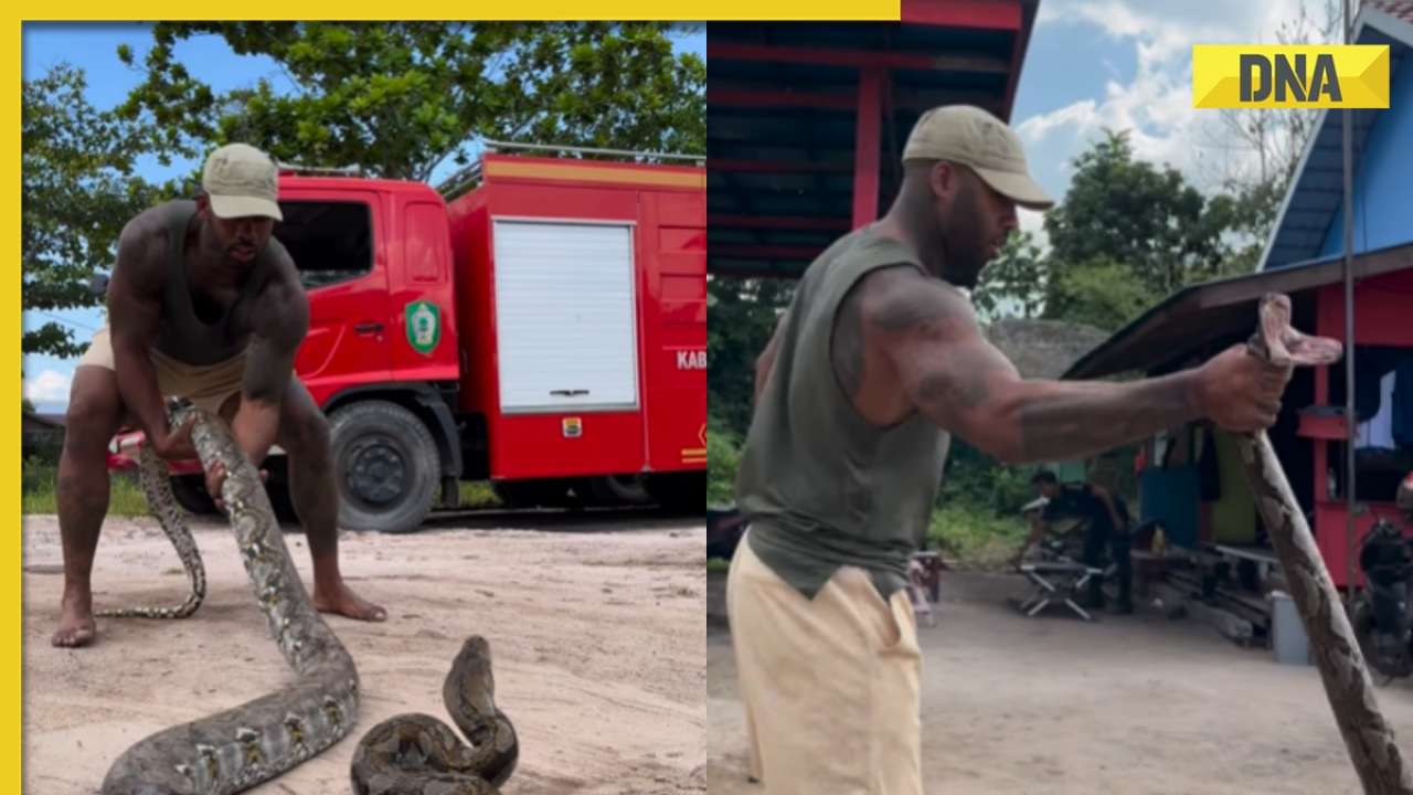 Viral video: Man provokes massive python, faces backlash for reckless ...