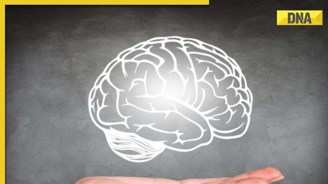 World Brain Day 2023: Five key ways to preserve brain health