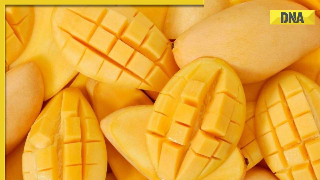 National Mango Day 2023: Five key health benefits of different ...