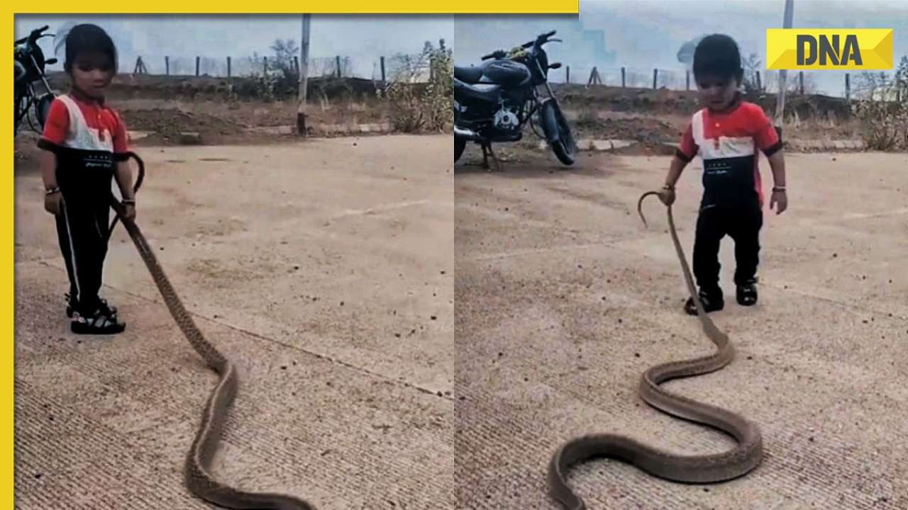 Little boy plays with massive snake, viral video sparks online debate