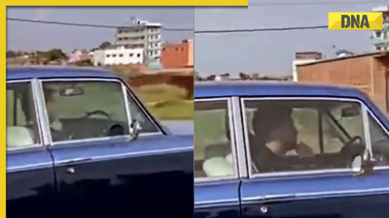 Watch: CSK skipper MS Dhoni spotted driving vintage Rolls-Royce car in ...