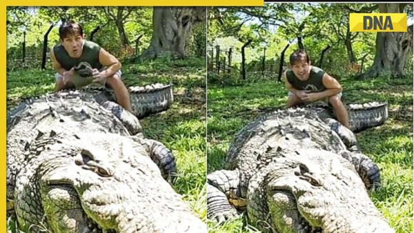 Viral video: Man's insane attempt to ride giant Nile crocodile sends ...