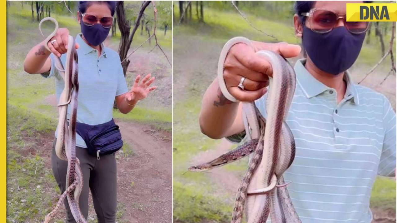 Viral video: Woman handles multiple snakes barehanded, leaves netizens ...