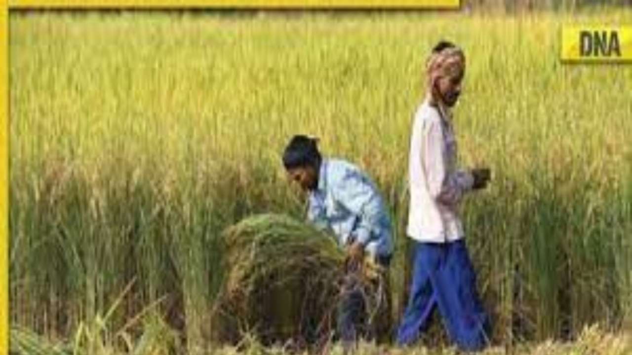 Kisan Kalyan Yojana: MP cabinet approves disbursement of Rs 6,000 to farmers under welfare scheme