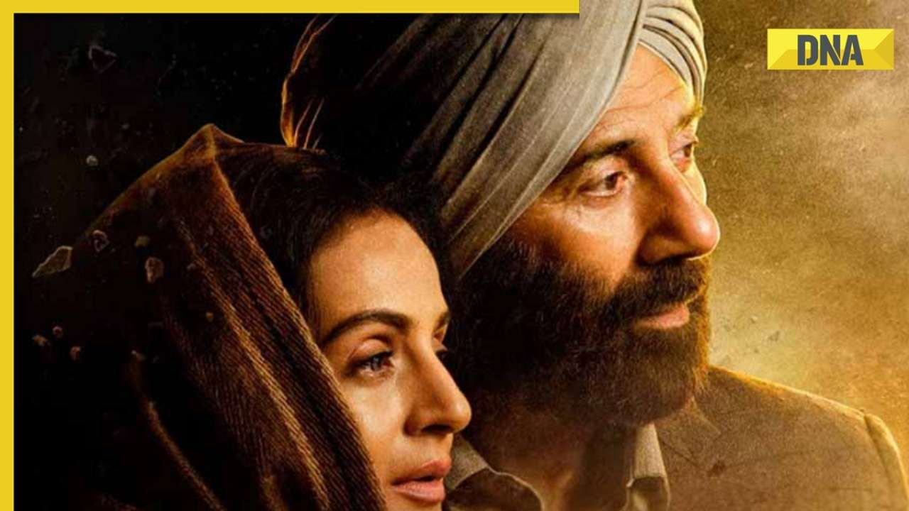 Gadar 2 box office collection: Sunny Deol, Ameesha Patel film refuses ...