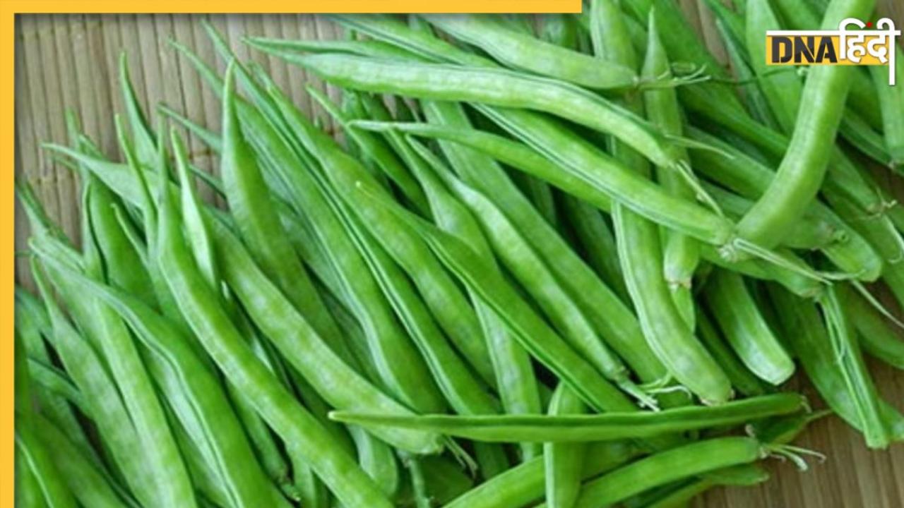 Gawar Phali Latest News and Updates in Hindi – Gawar Phali के समाचार ...