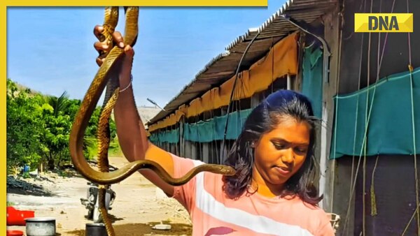 Viral video: Girl's daring confrontation with aggressive snake ends in ...