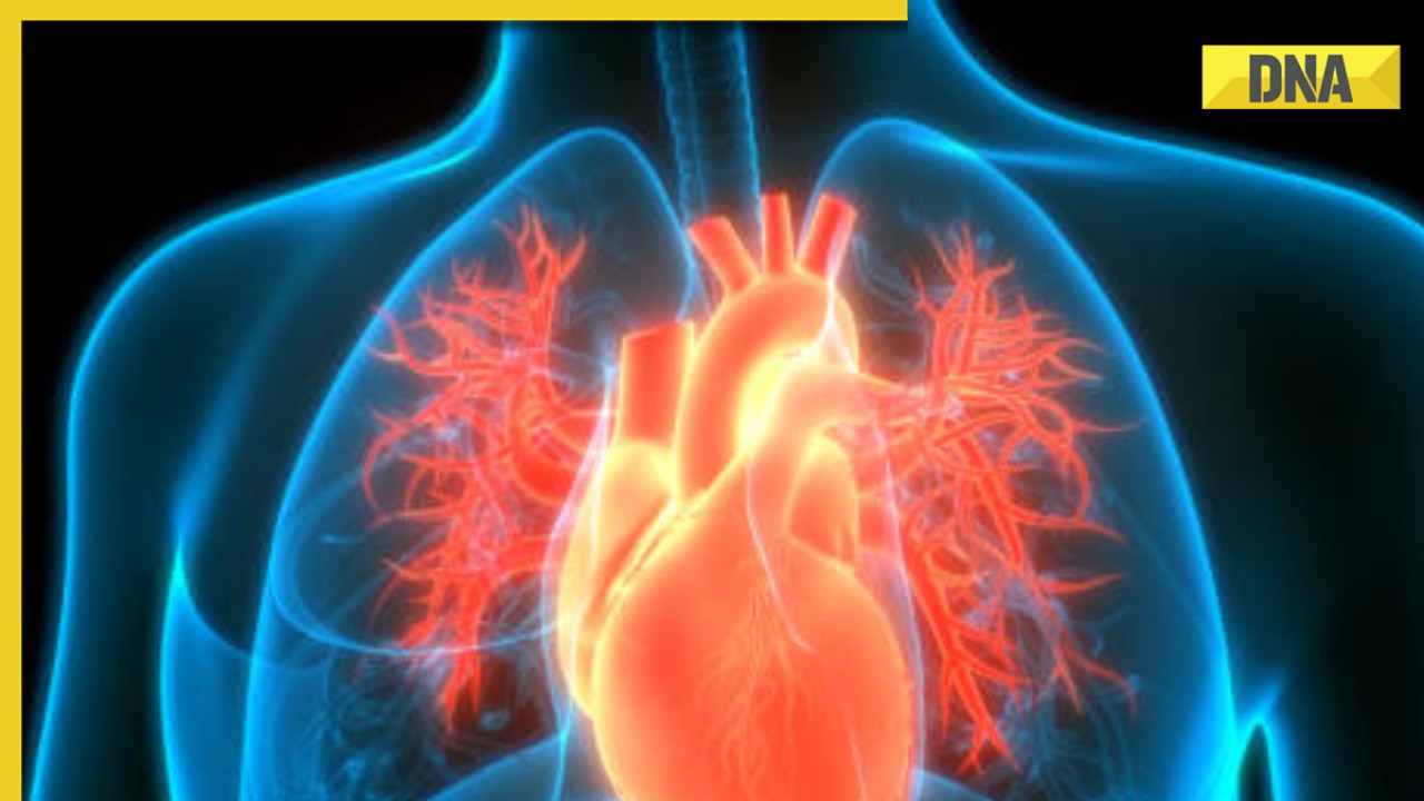 Hydration for heart health: Can drinking enough water reduce ...