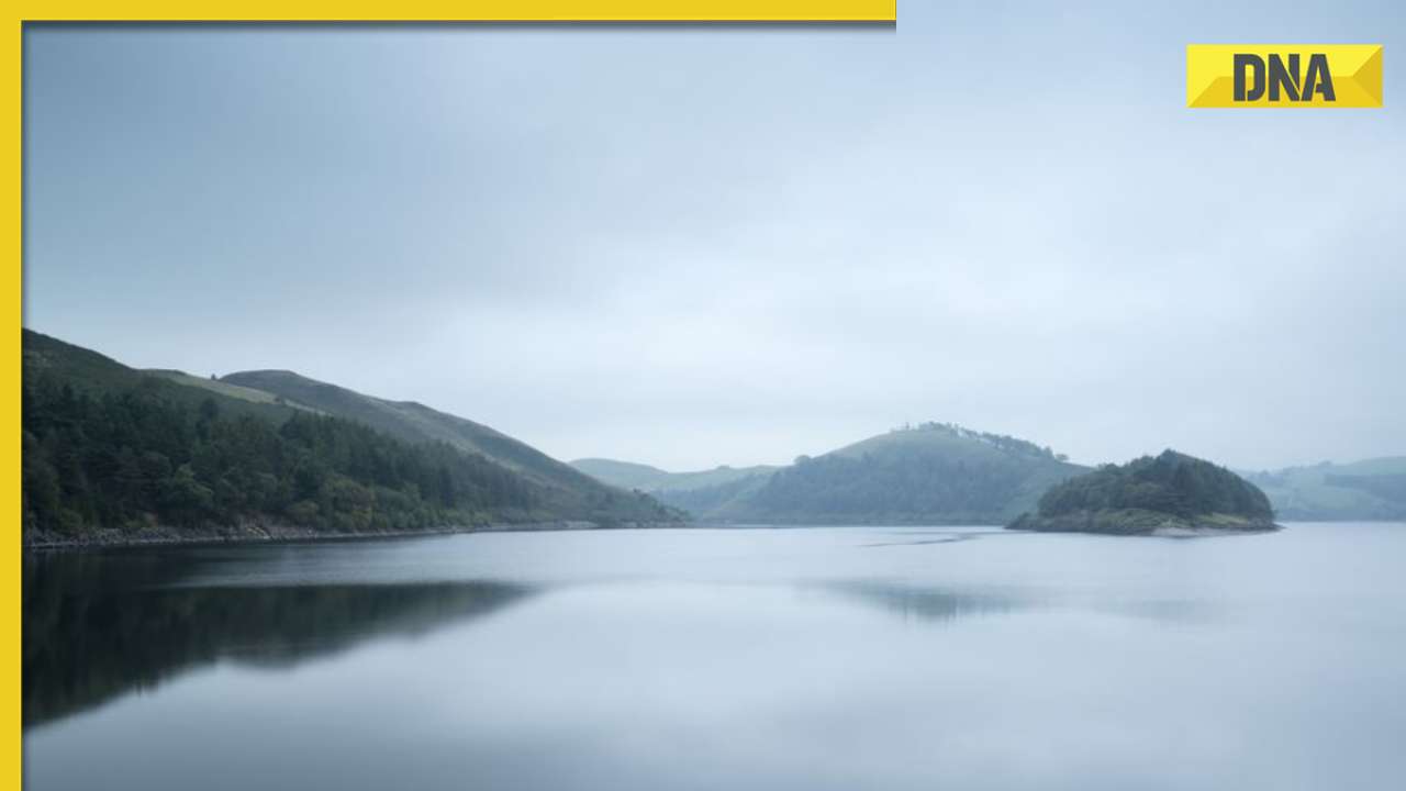 Monstrous 50-foot 'silver creature' sighted lurking in Chinese lake ...
