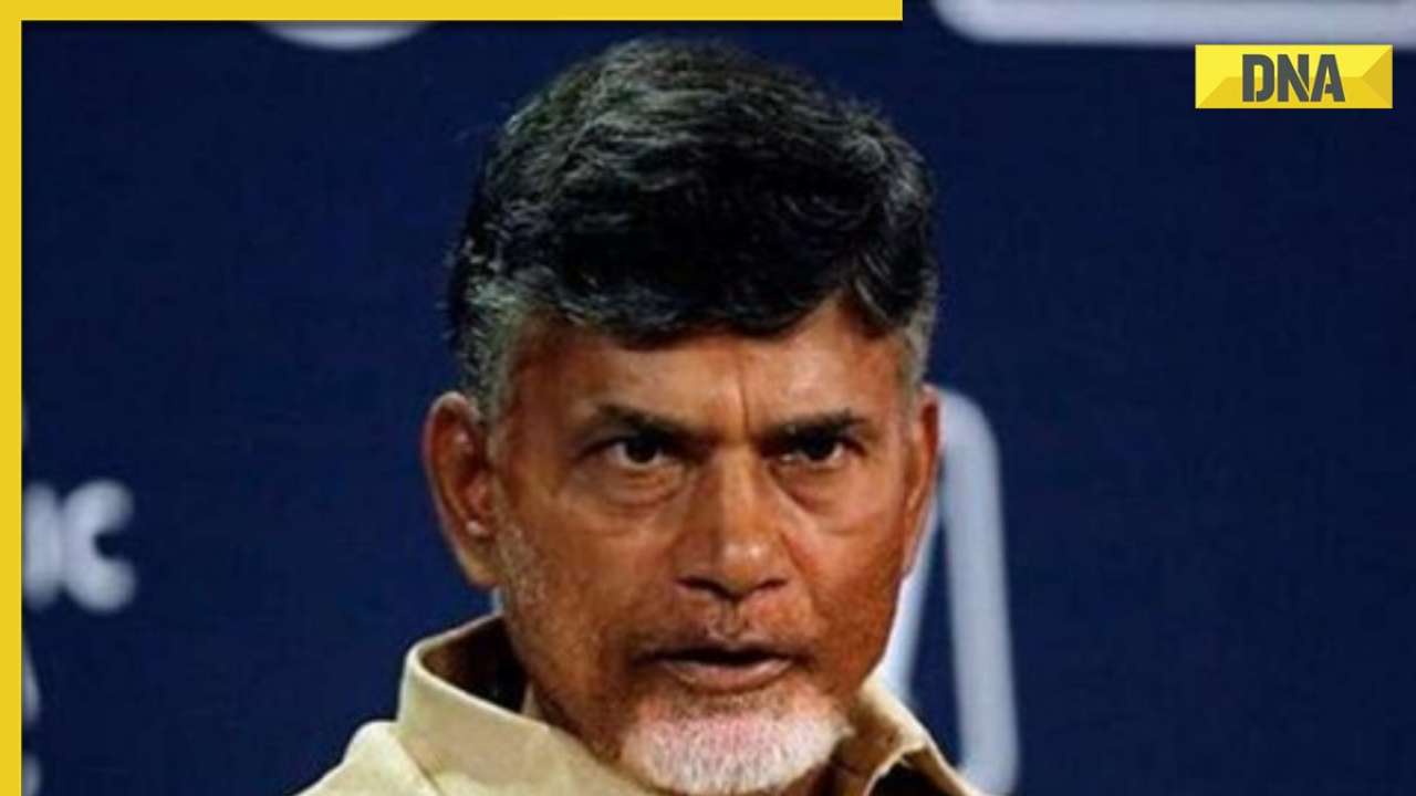 N Chandrababu Naidu arrest: What is the Rs 371 crore Andhra Pradesh skill development scam?
