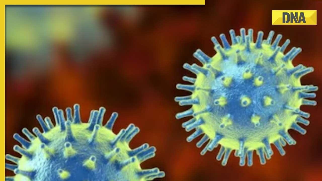 Two dead in Kerala due to Nipah virus, central team sent to state to ...