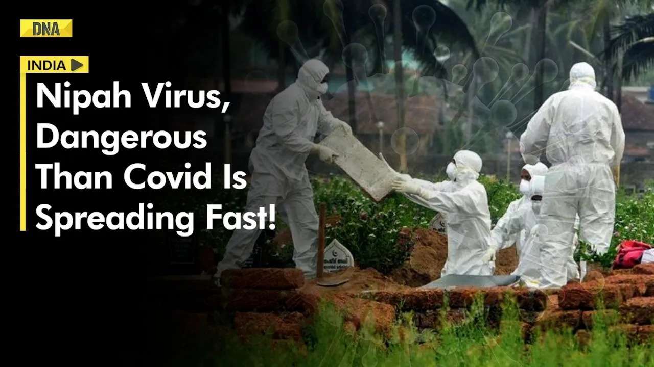 Nipah virus scare intensifies; schools shut, government on alert, ICMR ...